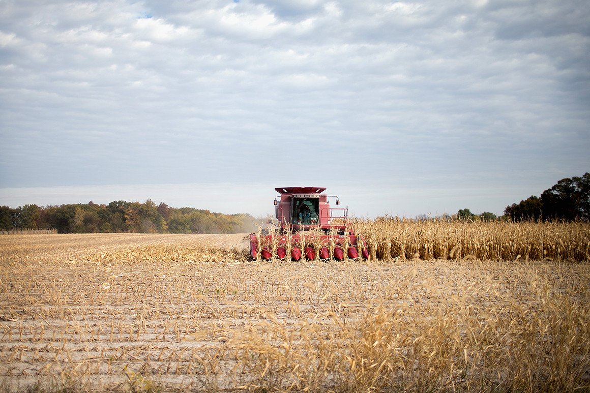 How food and the environment are related ? | Wisefins