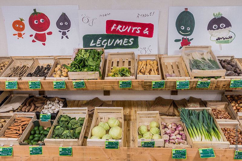 Alternatives to current forms of food production | Wisefins